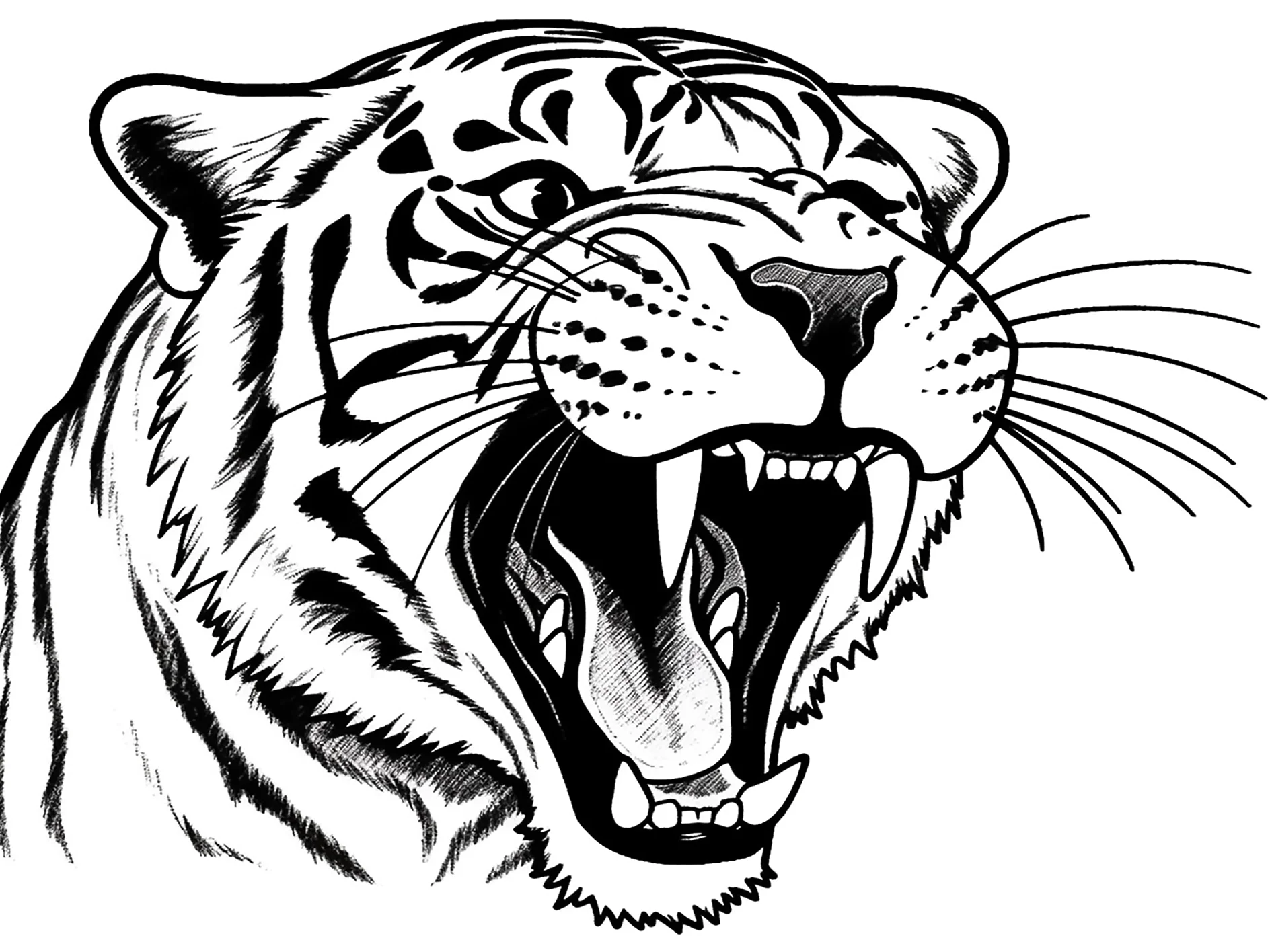 Tiger Ausmalbilder – Spaß für Kinder | Gratis Download