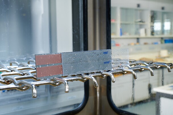 La visión del experto sobre 4965 - tesa